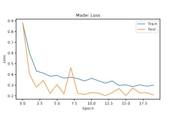 Verification If The Training Loss Curves Are Overfitting Or Have Issue