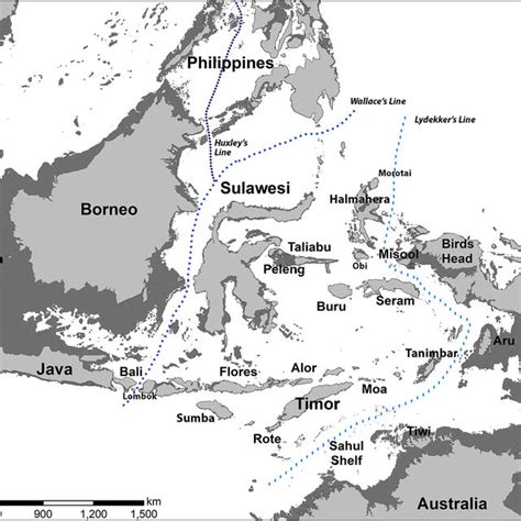 Regional Map Of Wallacea Showing The Huxley Wallace And Lydekker