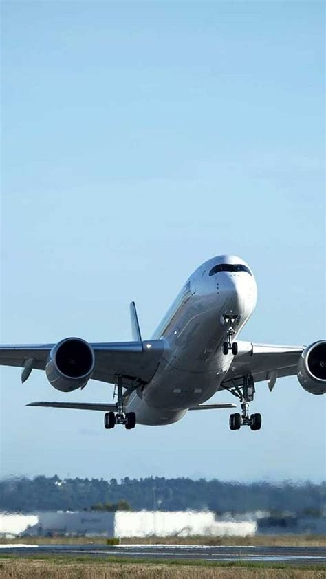 Flights Increased At Babatpur Airport Due To Reduction In Effect Of Fog
