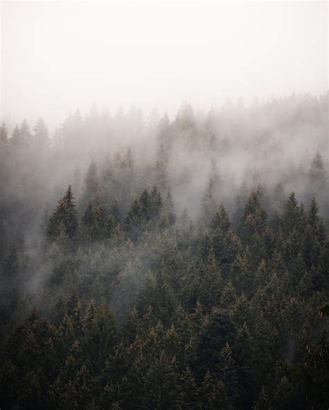 Free Grid Background Photos Download The Best Free Free Grid