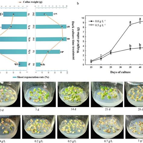 Agrobacterium Mediated Genetic Transformation Of F Nilgerrensis Leaf