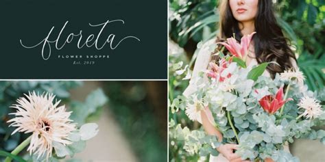 Monterey Script Download For Free And Install For Your Website Or