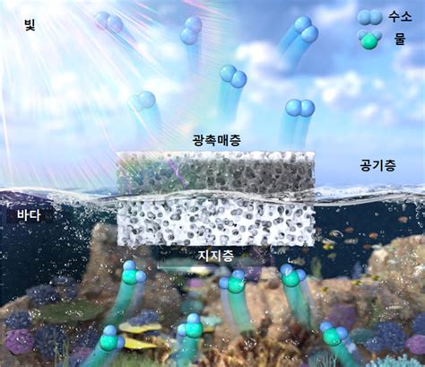 바다·호수·강에서 물 위 둥둥 뜨는 촉매로 그린수소 대량 생산 한다 연구성과 연구 서울대학교