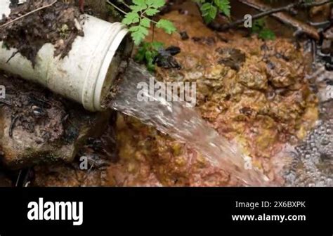 Sewage Flowing From Plastic Pipe Into A Ecological River Stream In Slow