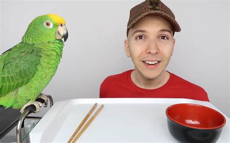 How Much Weight Did Nikocado Avocado Lose Youtubers Before And After