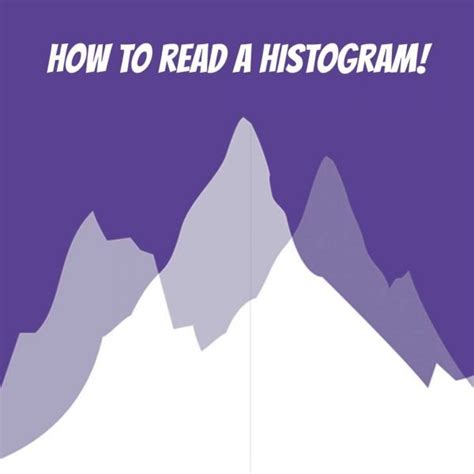 How To Read A Photo Histogram The Nerdy Photographer