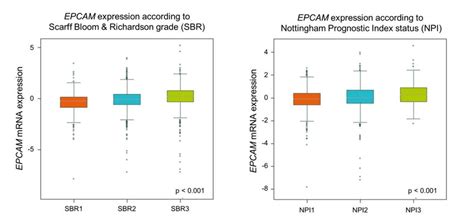 targeted expression analysis of normalized gene expression values of