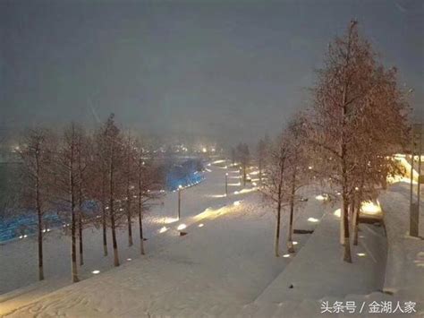 誰說只有東北雪鄉有最美冬景2018江蘇金湖醉美雪景美死人 每日頭條