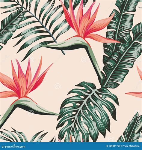 Bird Of Paradise Leaves Green Color Tropical Seamless Pattern Stock