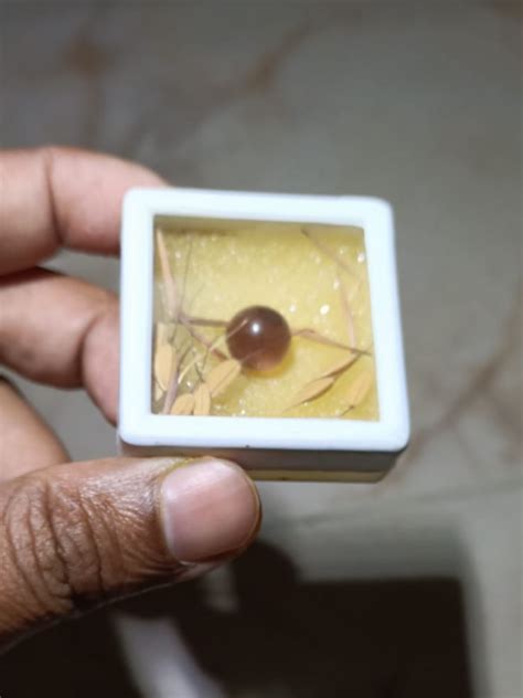 Geliga Ular Tedung Womens Fashion Jewelry And Organisers Precious