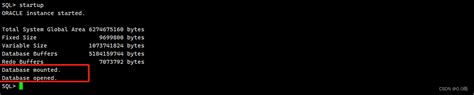 Linux下启动关闭oraclelinux启动oracle Csdn博客