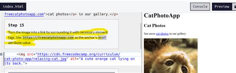 Learn HTML By Building A Cat Photo App Step 15 HTML CSS The FreeCodeCamp Forum