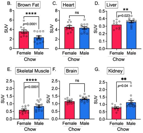 Cells Free Full Text Organ Specific Glucose Uptake Does Sex Matter