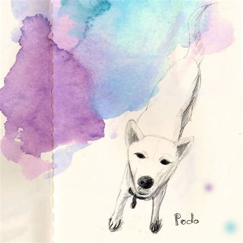 Jisundesigns Podo With Springy Personalities Designsketch