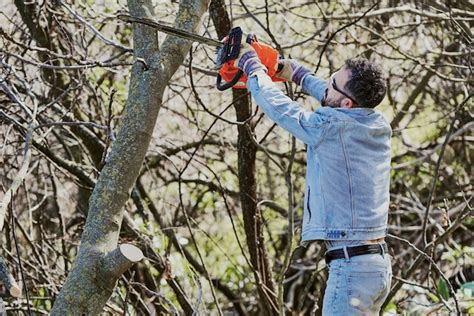 Premium Photo A Babe With Safety Goggles And A Chainsaw Trims A Tree In The Forest