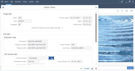 Sap Basis Version
