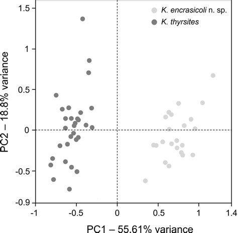 Principal Component Analysis Based Of 8 Morphometric Variables Lengths
