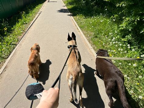 Продолжаю набор на групповые занятия девочки стараются и очень даже молодцы Потренировали