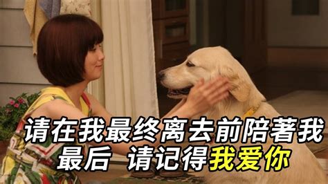 又一部催淚大片！狗狗耗盡一生陪著主人，謝謝上帝讓我們相遇！ 【零映影視解說】 Youtube