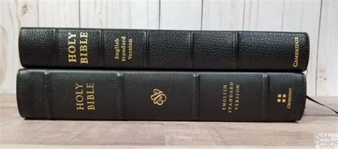 Esv Preaching Bible Verse By Verse Edition Bible Buying Guide