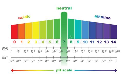 Scale of Ph Value for Acid and Alkaline Solutions Stock Vector - Illustration of fluid, strip ...
