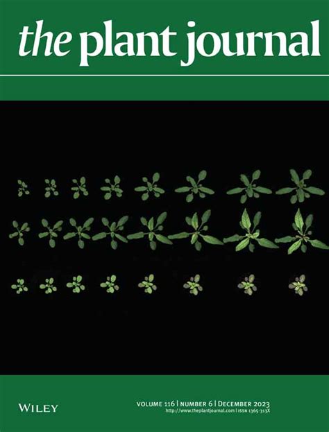 Chromosome‐level Genome Of Putative Autohexaploid Actinidia Deliciosa