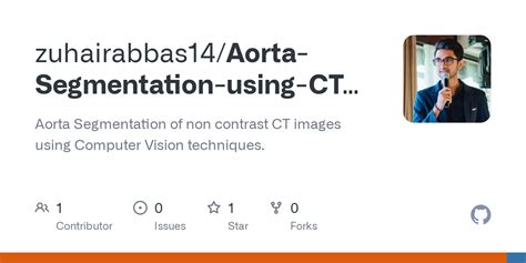 Github Zuhairabbas14aorta Segmentation Using Ct Images Aorta Segmentation Of Non Contrast Ct