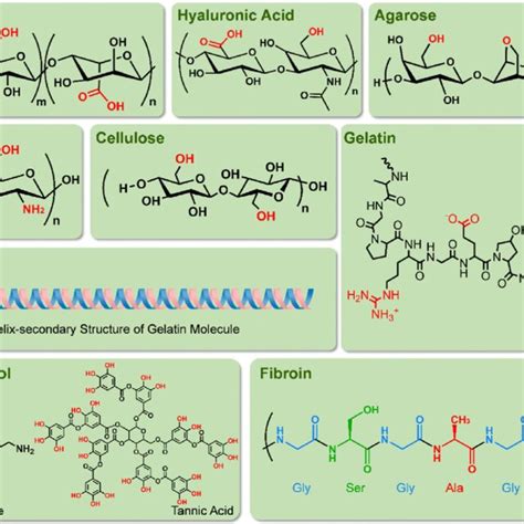A Schematic Illustration Of The Structure Of The Wool Fiber With