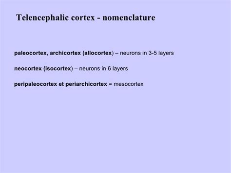 9 Telencephalona