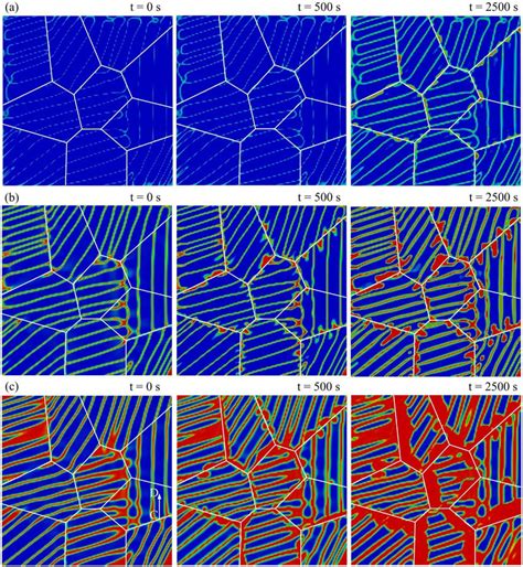 Microstructural Evolution Of Reverse Transformation From The Download Scientific Diagram