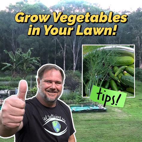 Let Me Show You How To Grow Veggies In Your Lawn 🥕 Let Me Show You