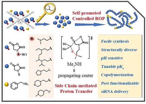 Self‐promoted Controlled Ring‐opening Polymerization Via Side Chain