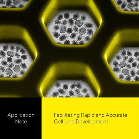 Celllinedevelopment Biologics Lifescienceresearch Cellcelector
