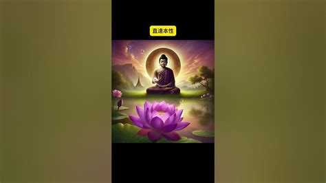 「空性的理解，超越一切執著的智慧」空性智慧 超越執著 佛教智慧 無我之道 內心解脫 正念生活 佛法修行 心靈成長 修行之道