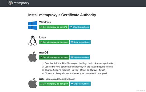 mitmproxy 抓包的原理是什么？ csdn博客