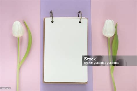 봄 편평한 누워 스프링 할 작업 목록입니다 핑크 라일락 파스텔 배경에 빈 메모장 및 흰색 튤립 평면도 복사 공간 0명에 대한