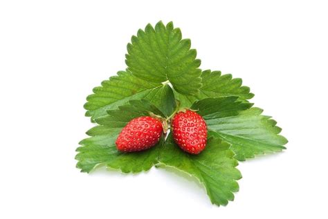 Premium Photo Fresh Strawberry Fruit With Green Leaves
