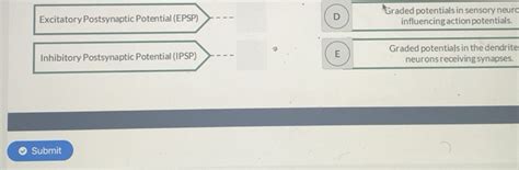 Solved Excitatory Postsynaptic Potential Epsp D Graded Potentials In Sensory Neurd