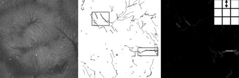 NKT Results A Shows A Keyframe Of NKT Data And B Shows The Cell