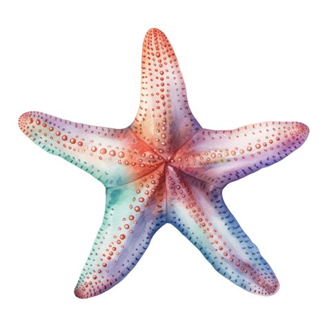 Starfish Isolated Detailed Watercolor Hand Drawn Painting Illustration
