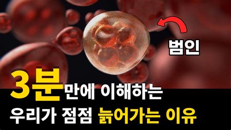 초등학생도 이해하는 노화가 진행되는 이유 Youtube