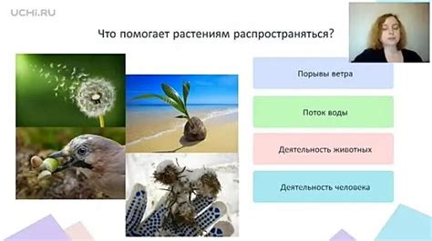 Окружающии мир 3 класс Размножение и развитие растений Смотреть онлайн в поиске Яндекса по Видео