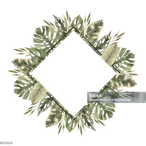 몬스테라 칼라테아 콜로카시아 덩굴식물 필로덴드론 수채화 트로피컬 다이아몬드 프레임 모노크롬 스타일 꽃과 식물 트렌드 초대장 카드 포장 휴일 포스터 구성 0명에 대한 스톡