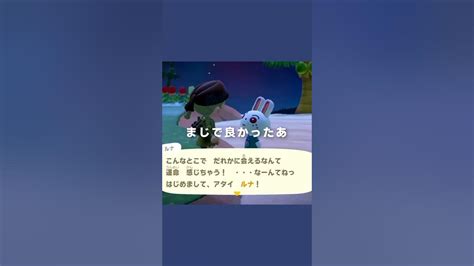 テンションの差が激しすぎるうさぎ【あつ森｜離島ガチャ】 Youtube
