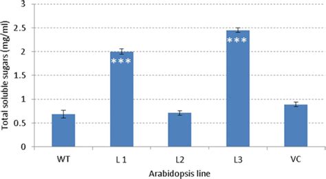 Comparison Of Total Soluble Sugar Content Between Transgenic And