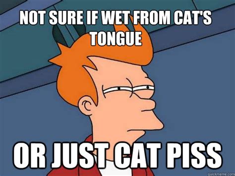 Not Sure If Wet From Cats Tongue Or Just Cat Piss Futurama Fry Quickmeme