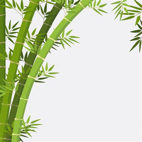 竹 画像 Freepikで無料ダウンロード
