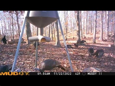 665 Acres Of Hunting Ground In Hickman County Hickman County Pleasantville Tn