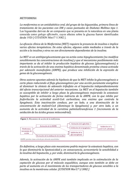 Metformina mecanismo de acción METFORMINA La metformina es un antidiabético oral del grupo