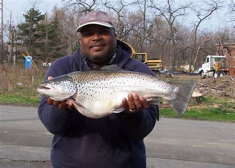 Fishing Report East End Angler Erie Pa